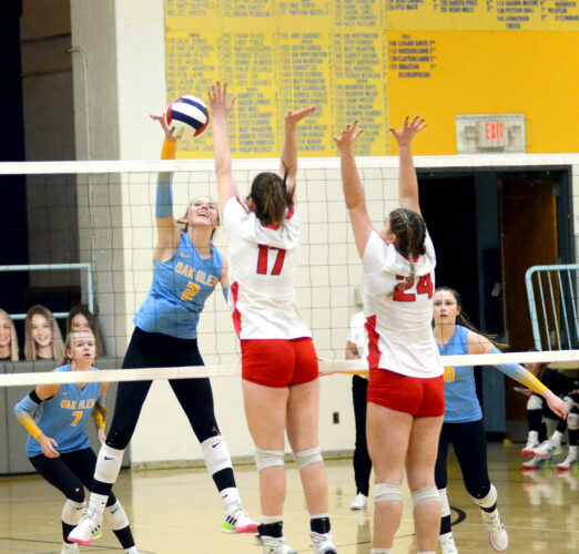 Golden Bears advance to OVAC final | News, Sports, Jobs - The Herald Star